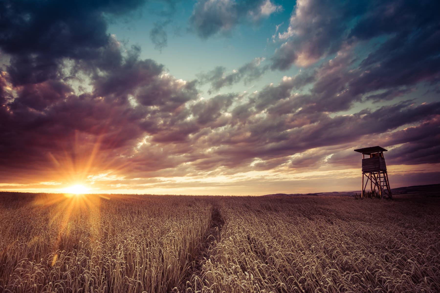 How to Profit from Off-Season Farmland - Grit